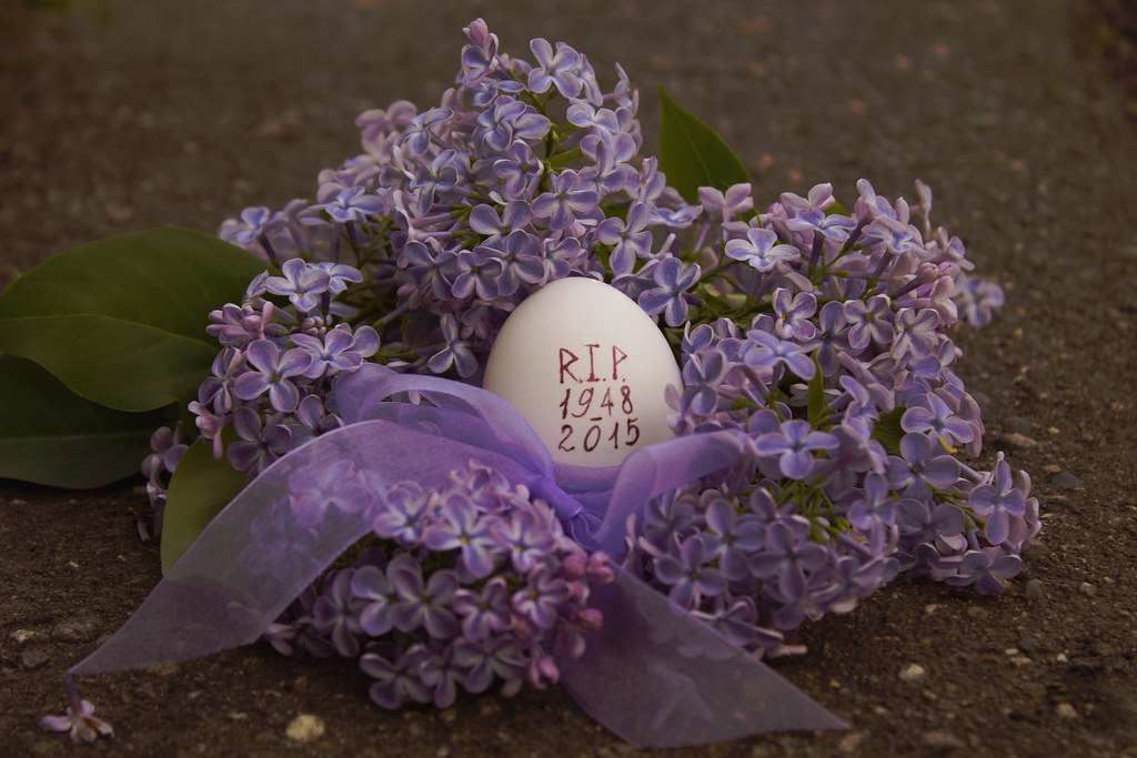 Celebrating the Anniversary of the Glorious Revolution of the Twenty ...